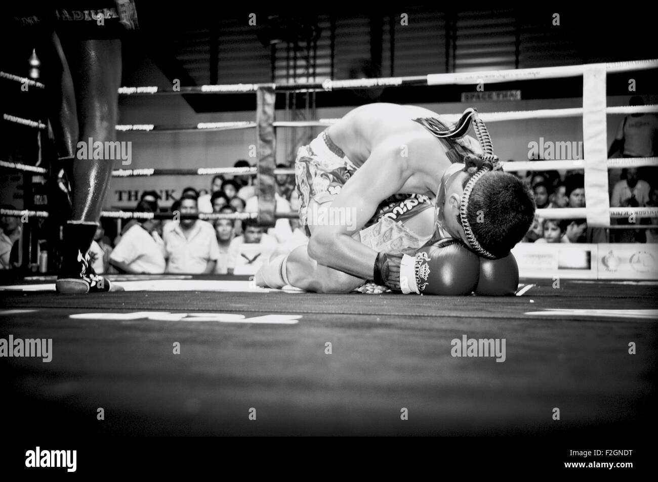 Muay Thai fight in Thailand boxing stadium Stock Photo - Alamy