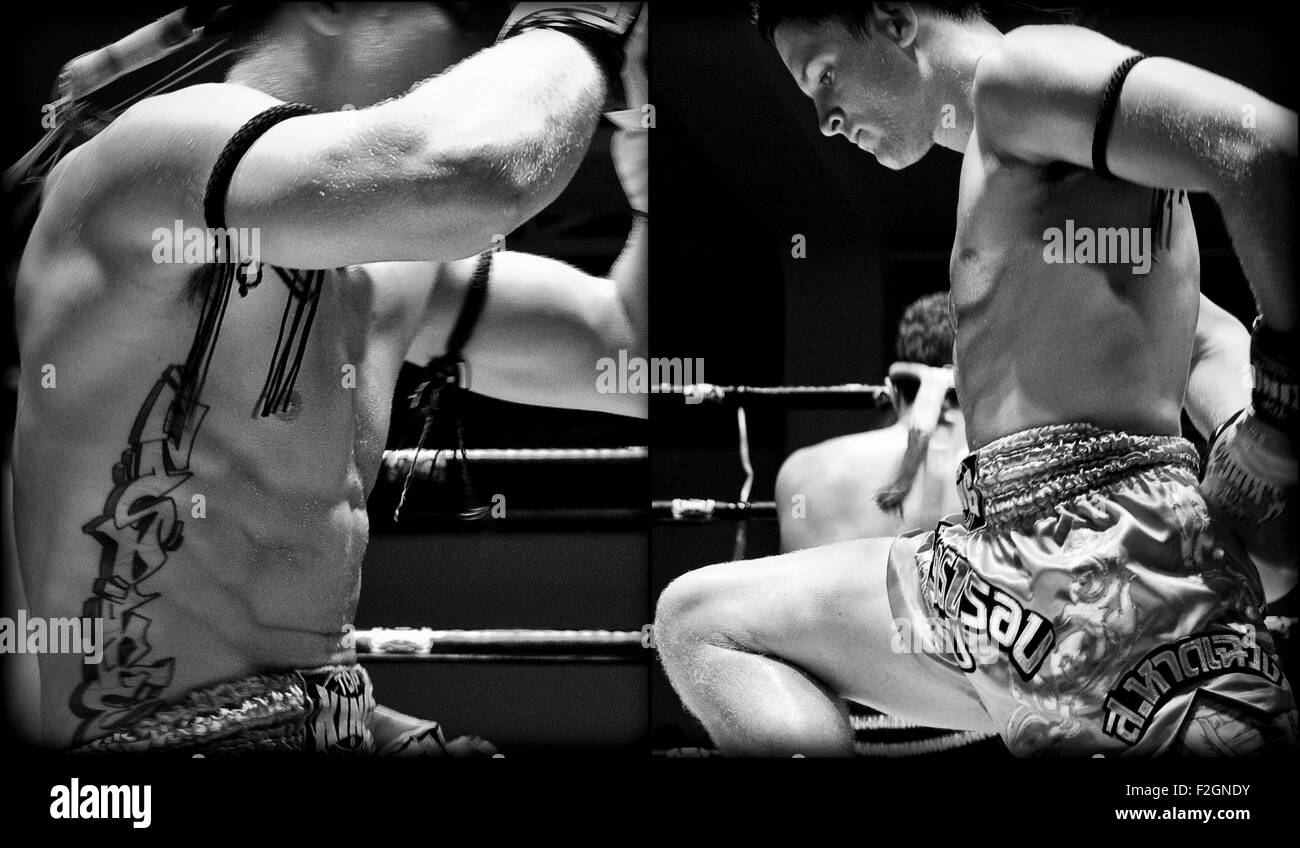 Muay Thai fight in Thailand boxing stadium Stock Photo - Alamy