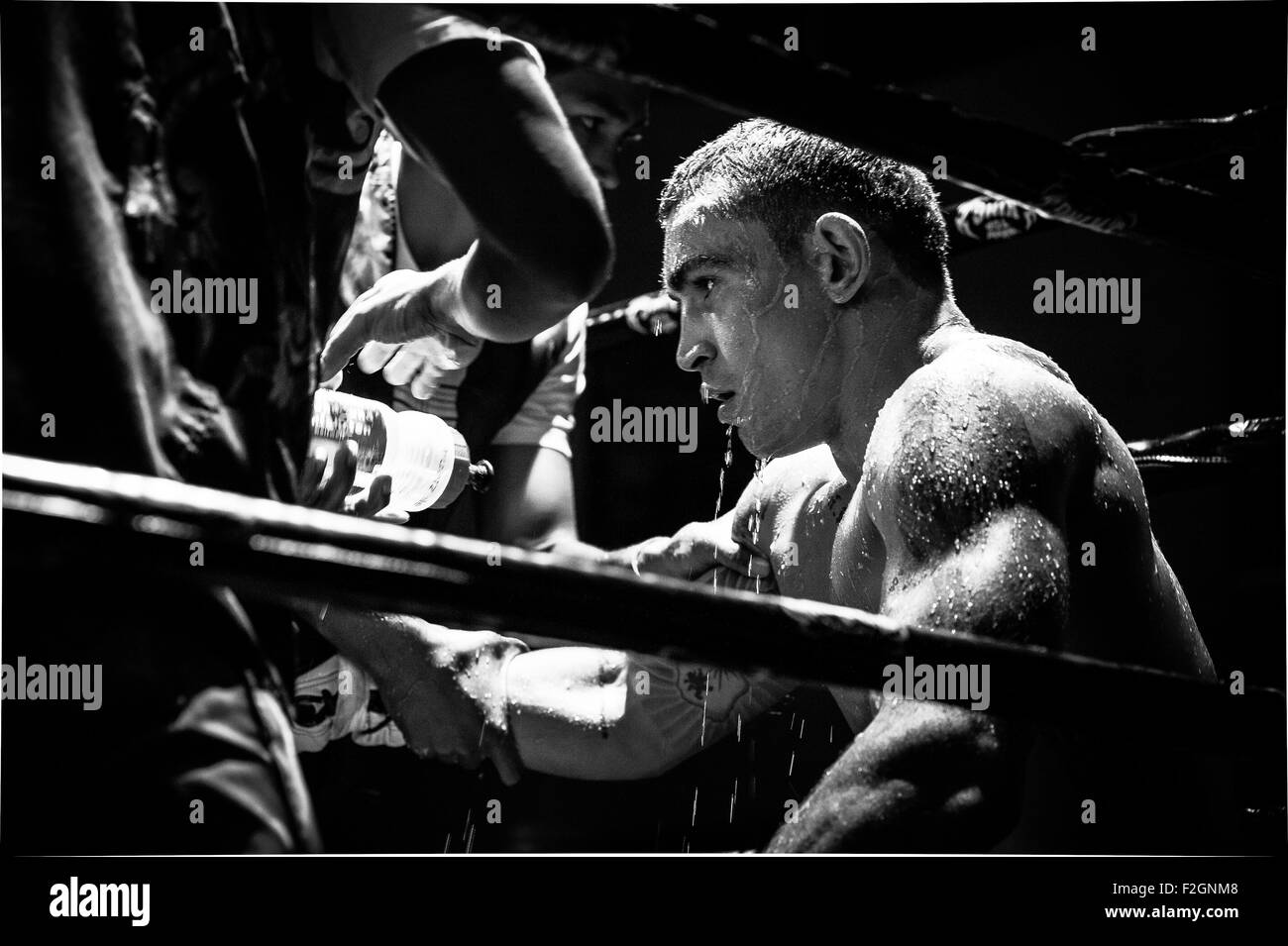 Muay Thai fight in Thailand boxing stadium Stock Photo - Alamy
