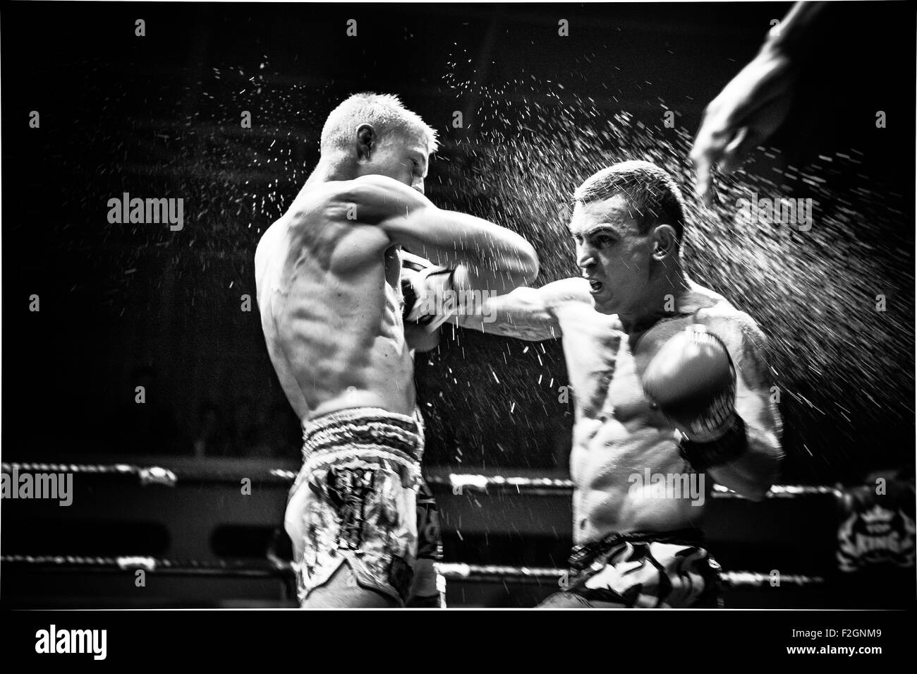 Muay Thai fight in Thailand boxing stadium Stock Photo - Alamy