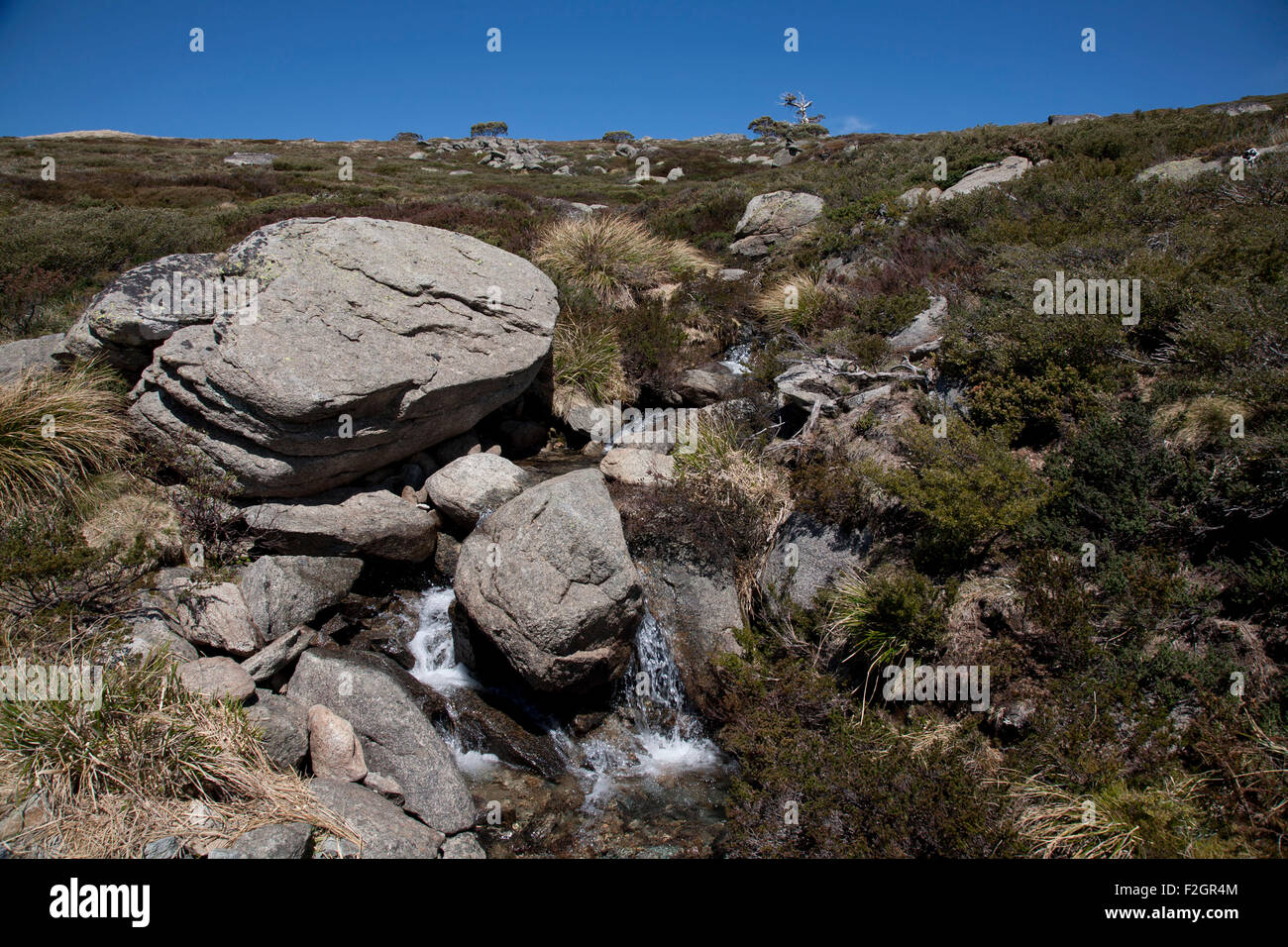 Stream aus hi-res stock photography and images - Alamy