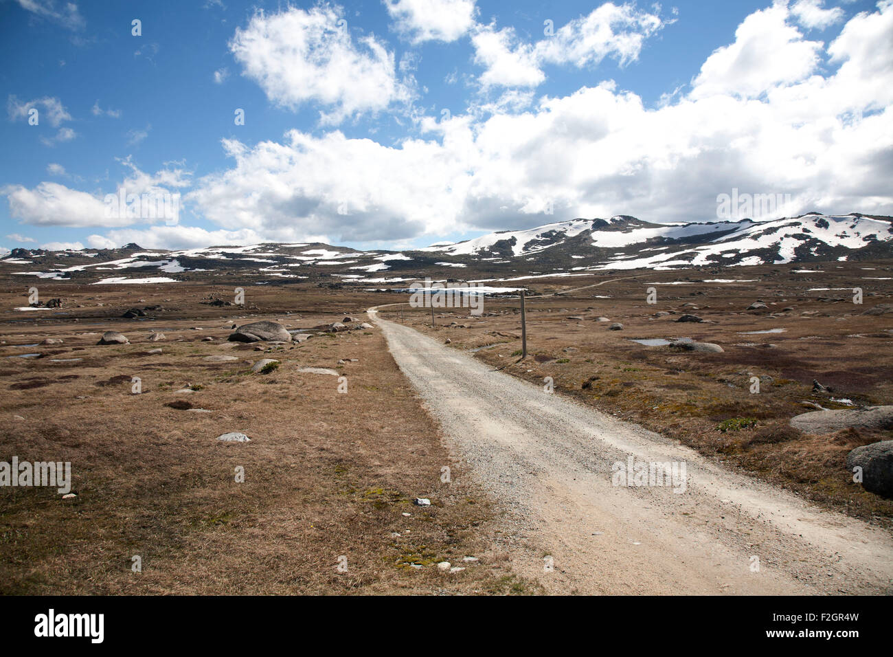 Australian alps walking track hi-res stock photography and images - Alamy