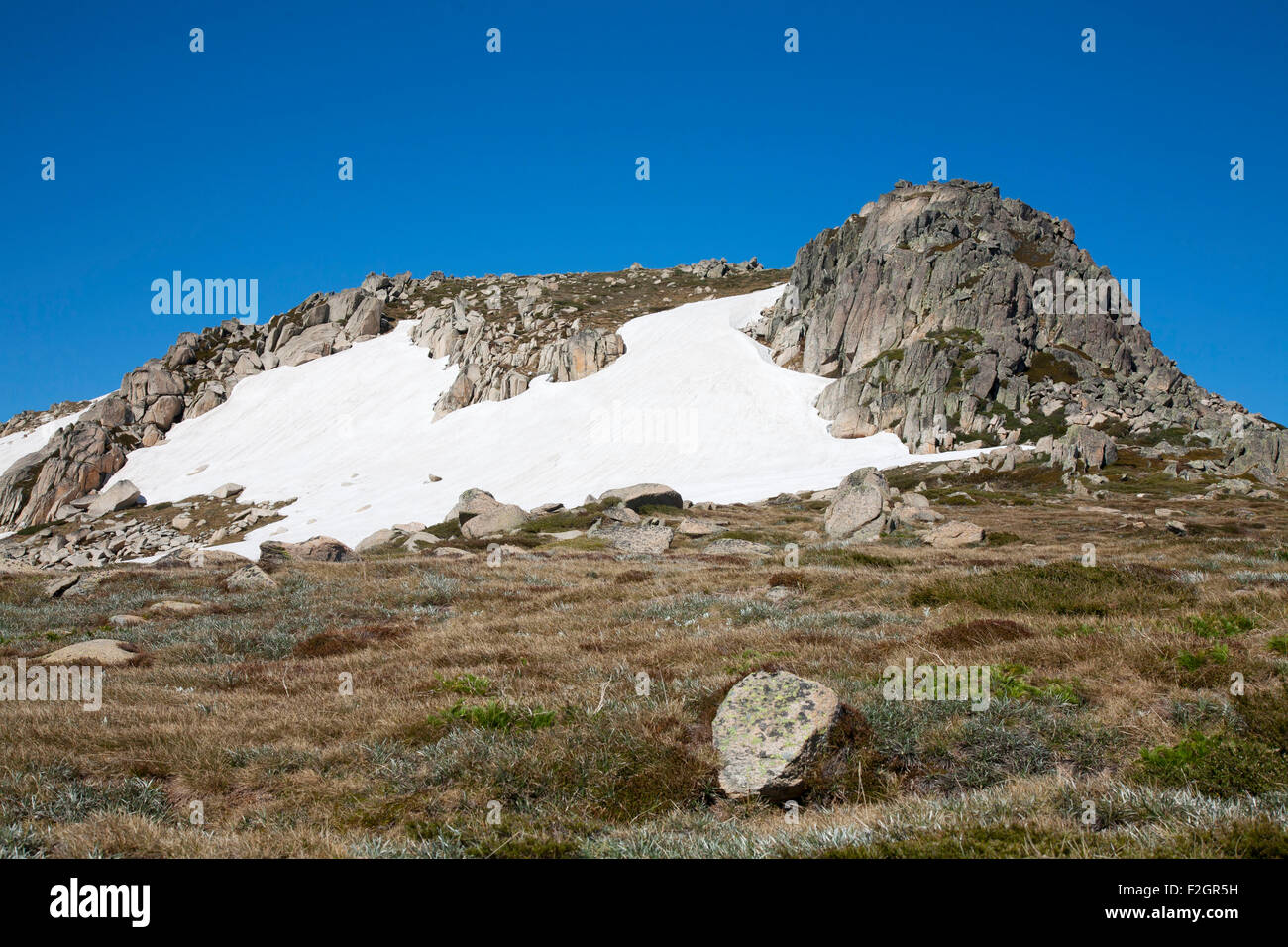 late spring snow in the Australian Alpine region of Kosciuszko National ...