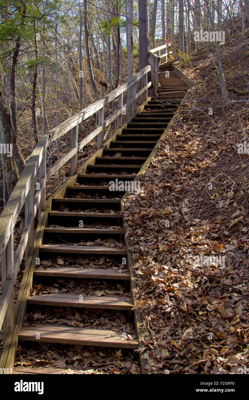 Stair stair stair stair woods hi-res stock photography and images - Alamy
