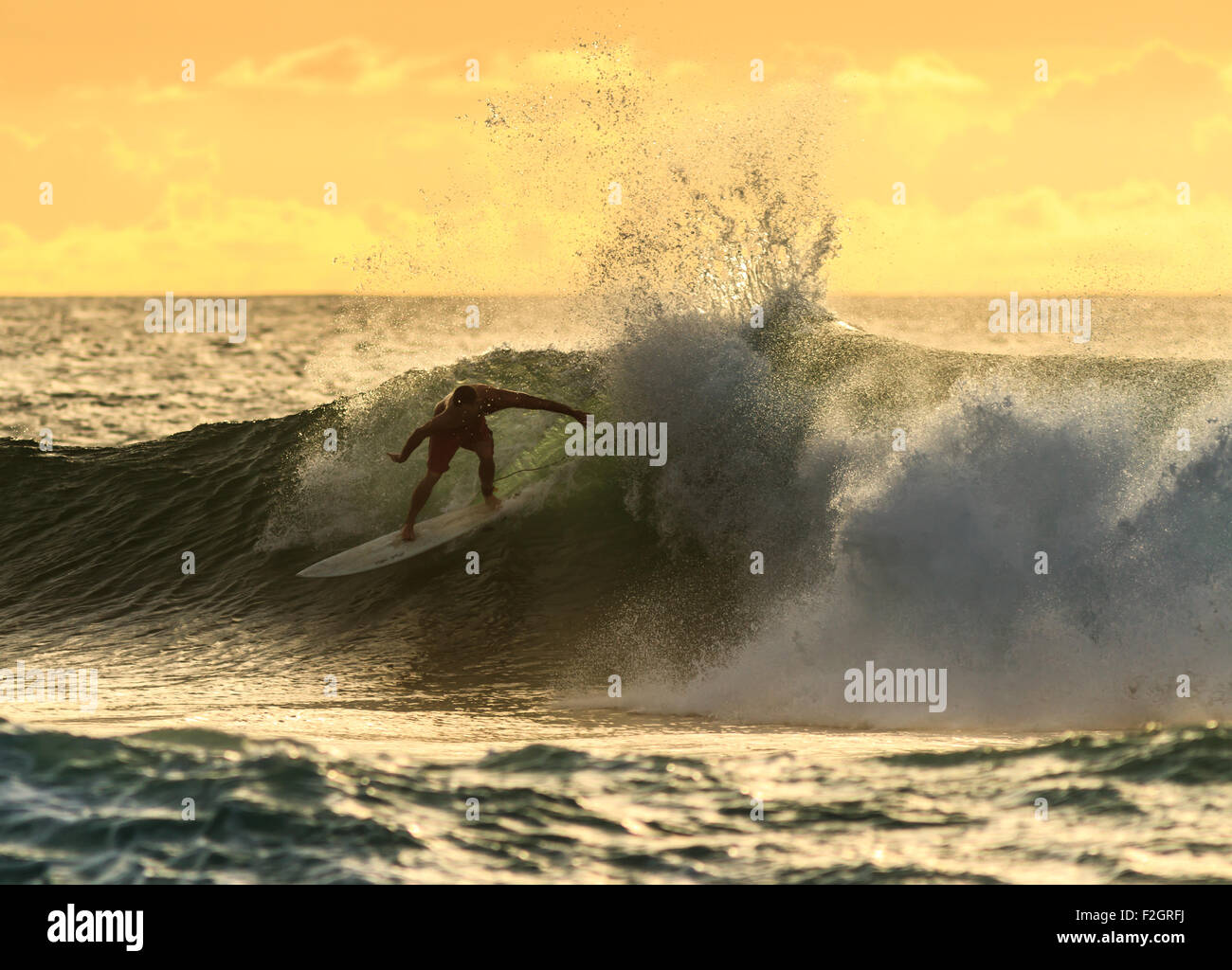 A surfer on the north shore of Oahu during the sunset Stock Photo - Alamy