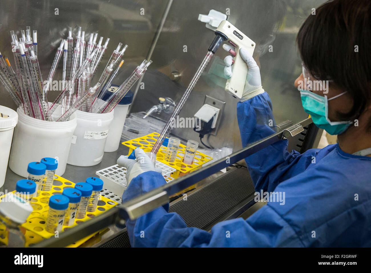 Specialised worker hi-res stock photography and images - Alamy