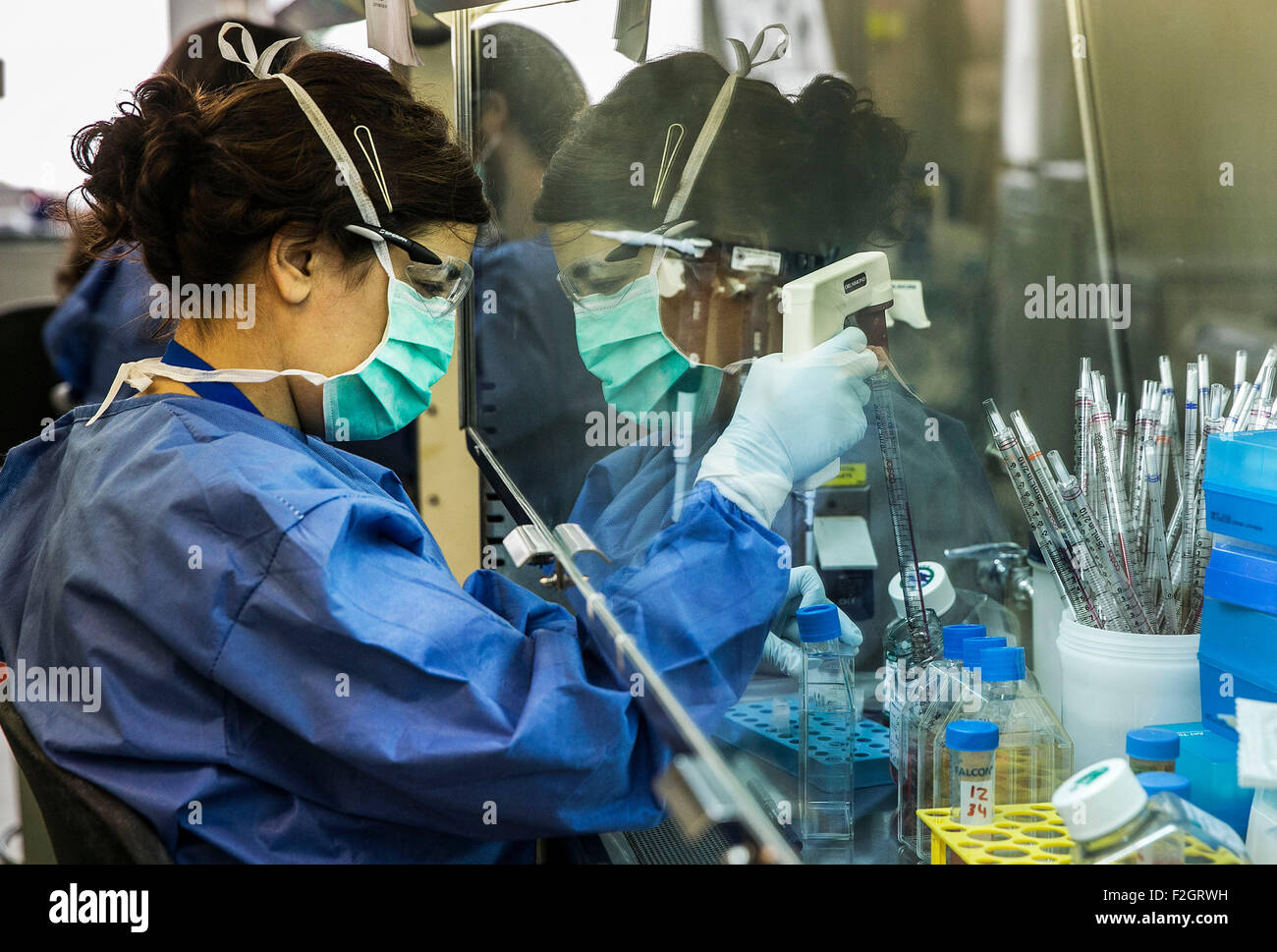A medic worker at the clinical analysis area in a hospital in Mallorca ...