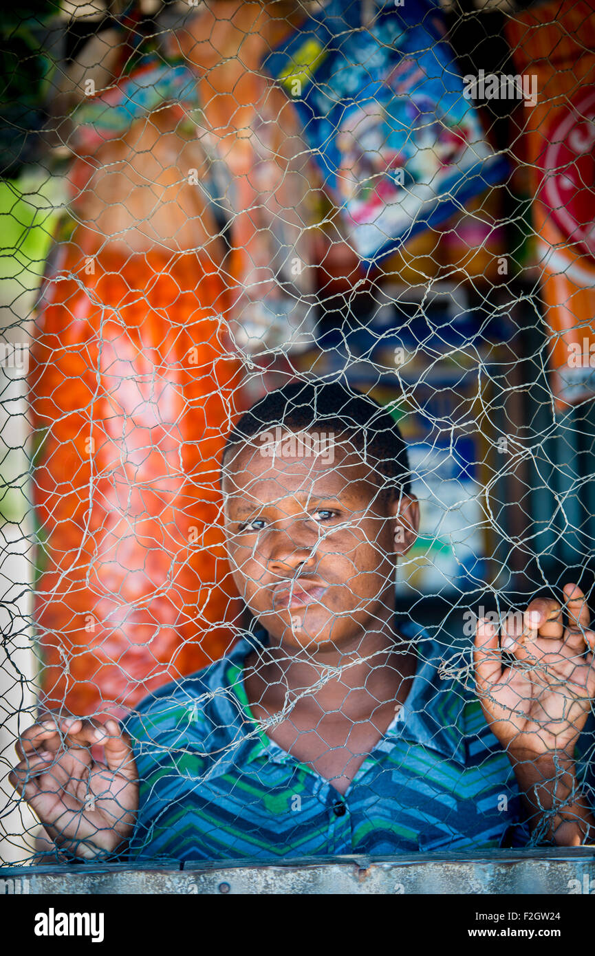 Chicken wire hi-res stock photography and images - Alamy