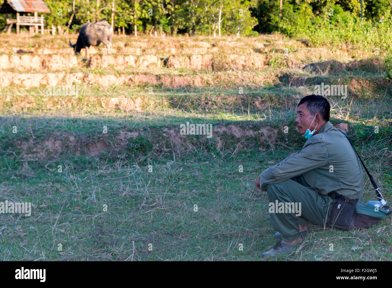 Man and water buffalo hi-res stock photography and images - Alamy