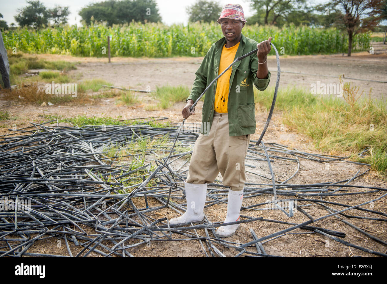 Man sorting out irrigation tubing in Ghanzi, Botswana Stock Photo - Alamy