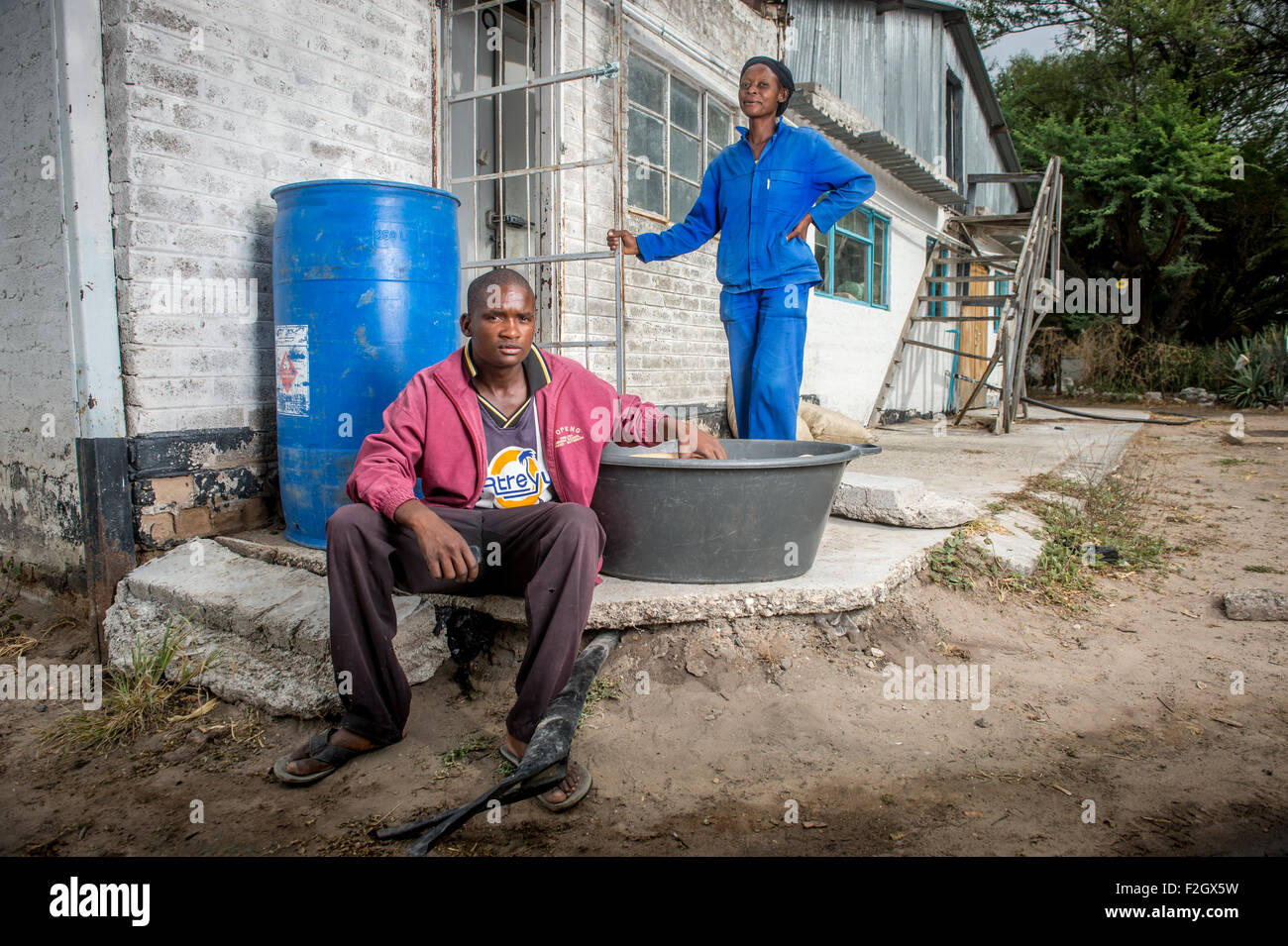 Farm workers in Botswana, Africa Stock Photo - Alamy