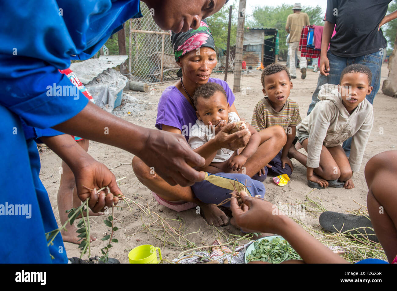 San bushman food hi-res stock photography and images - Alamy