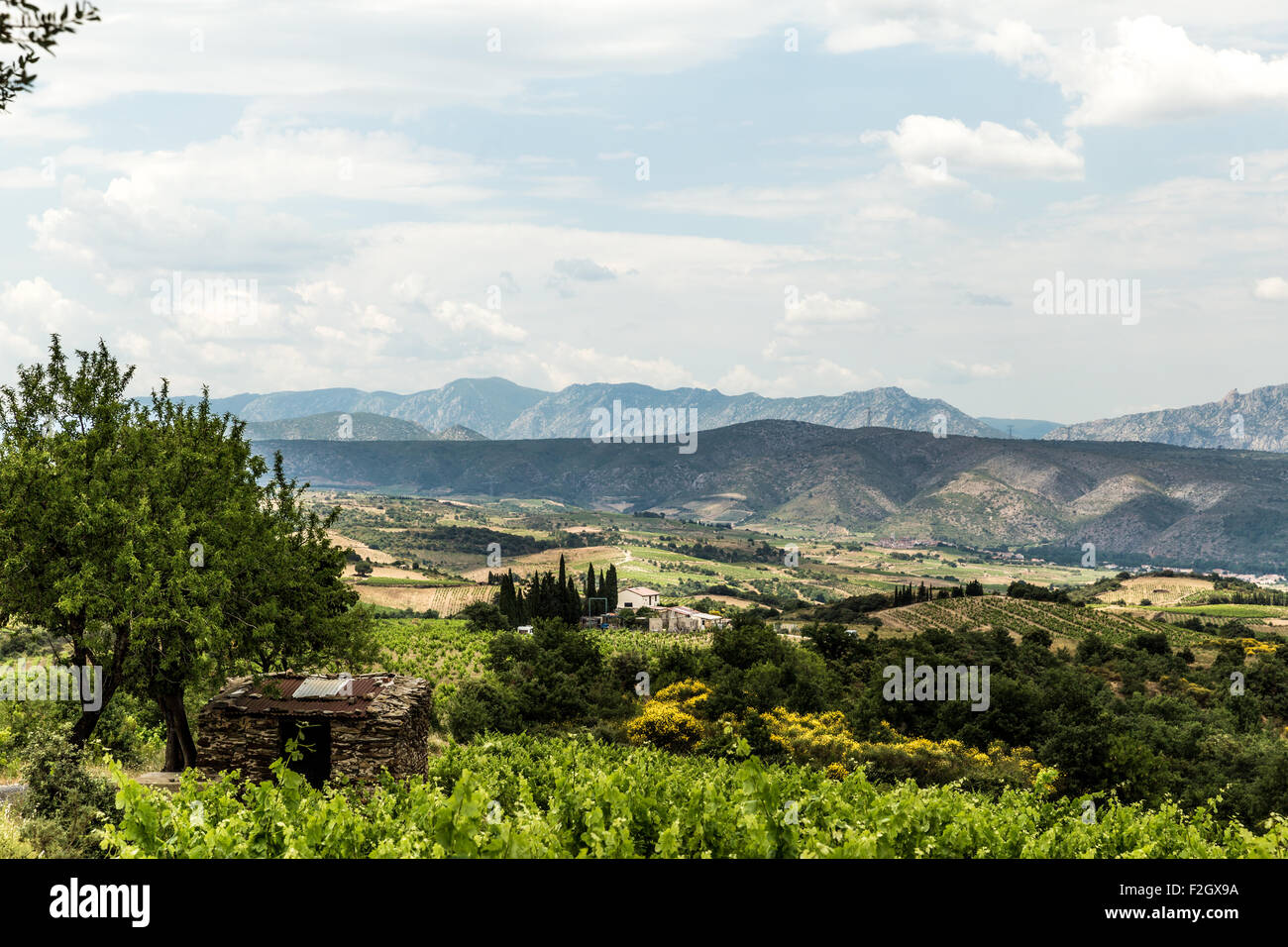 Southern French Landscape Stock Photo - Alamy