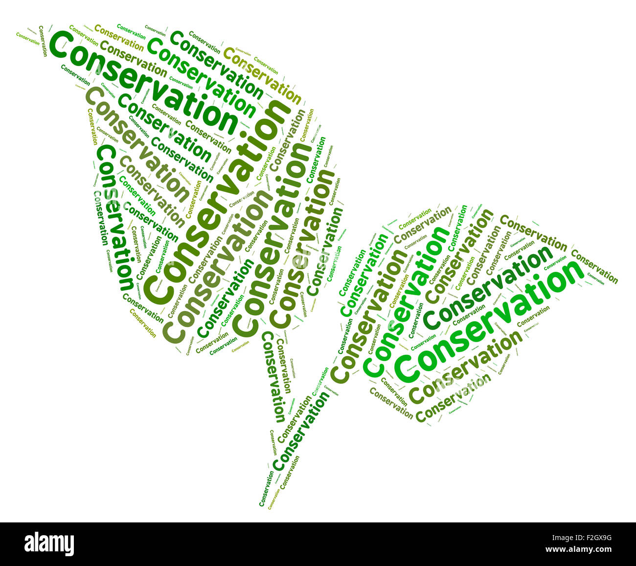 Conservation Word Showing Go Green And Conserving Stock Photo - Alamy
