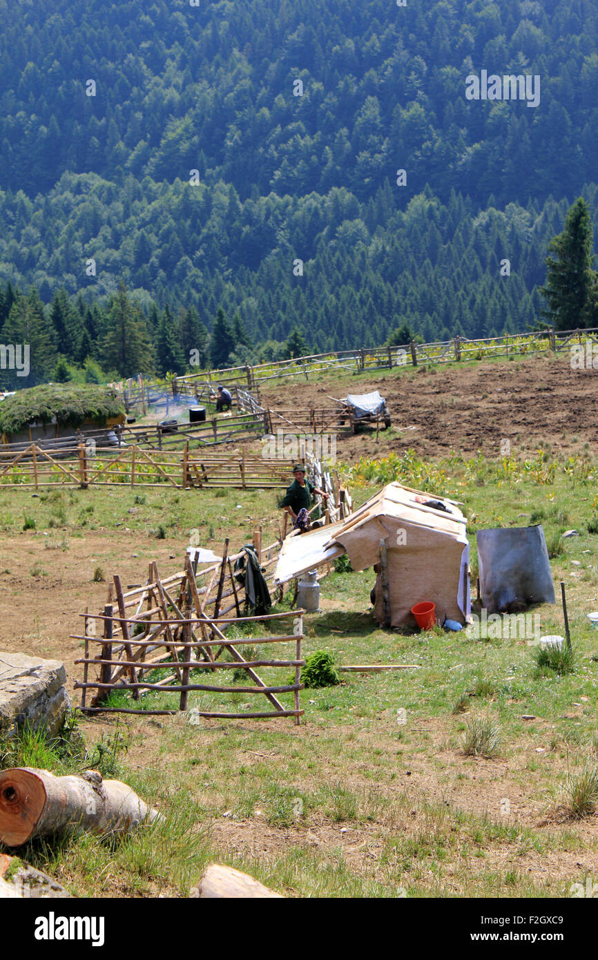 Babele and the Sphinx of Bucegi Mountains in Busteni - Romania Stock ...