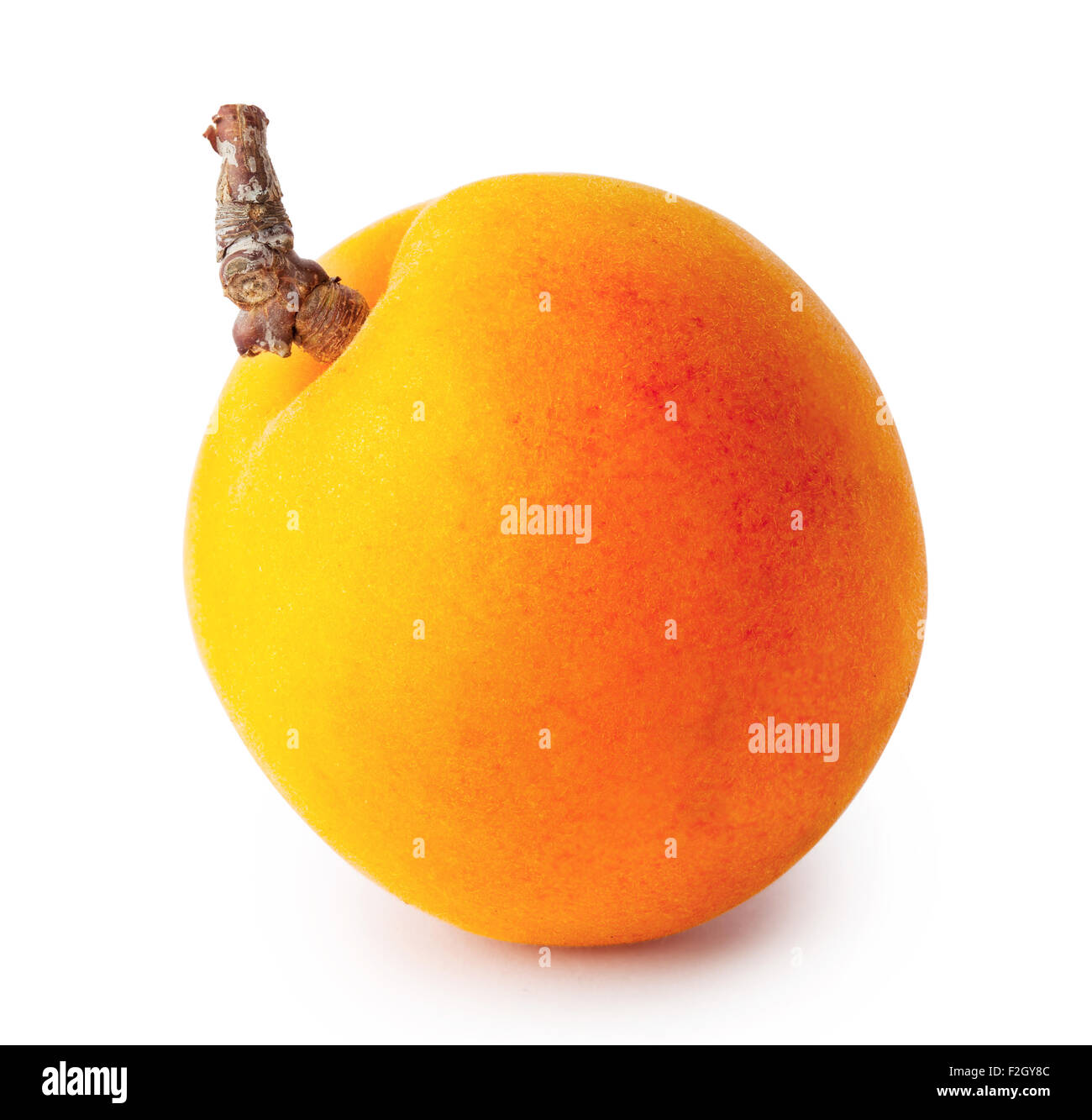 Bright yellow apricot with handle isolated on white background Stock ...