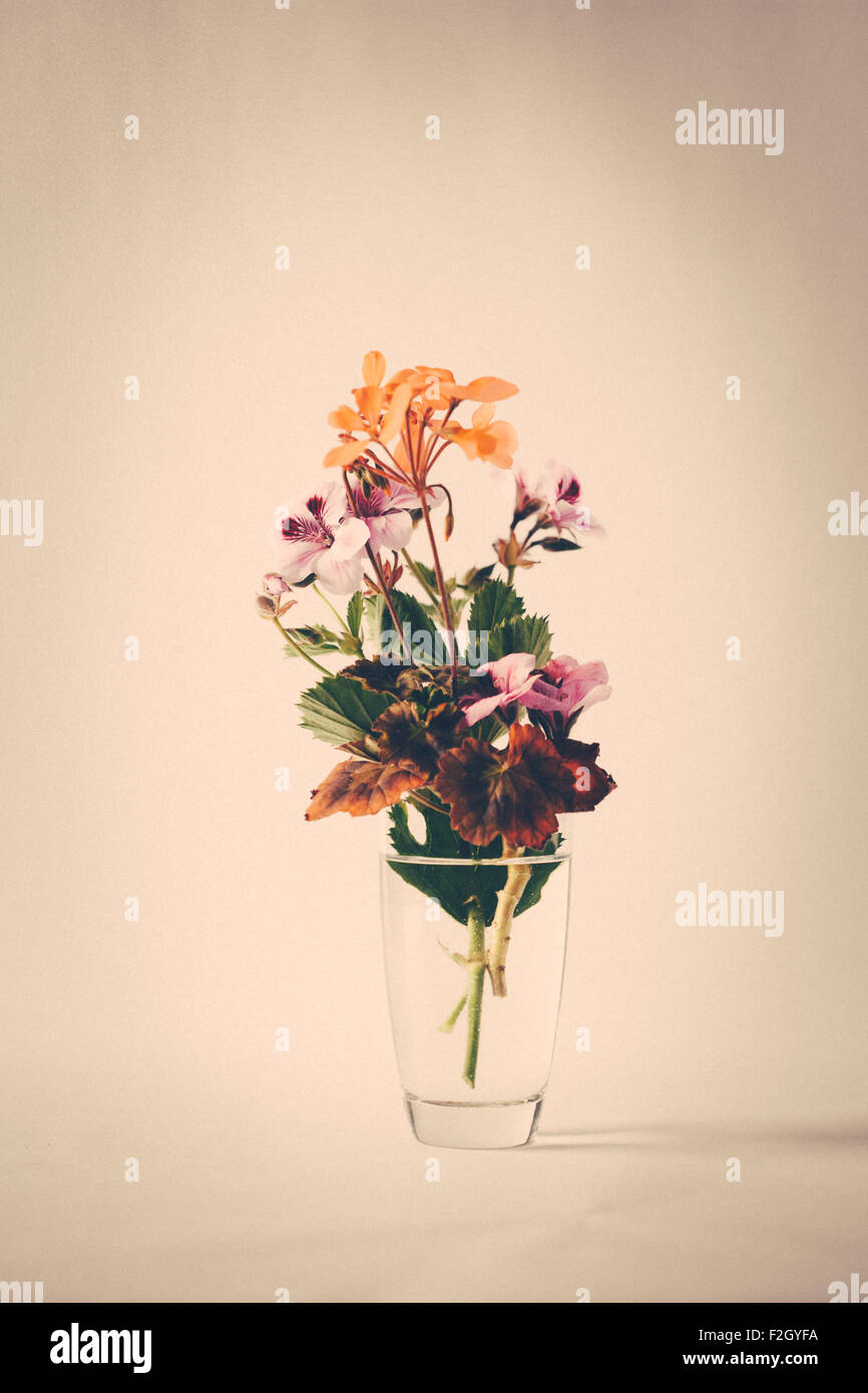 Retro style flowers hi-res stock photography and images - Alamy