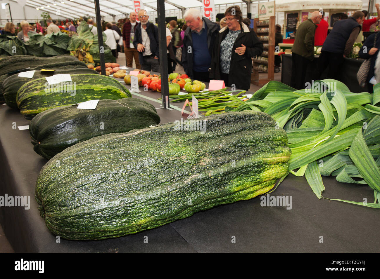 Giant marrow hi-res stock photography and images - Alamy