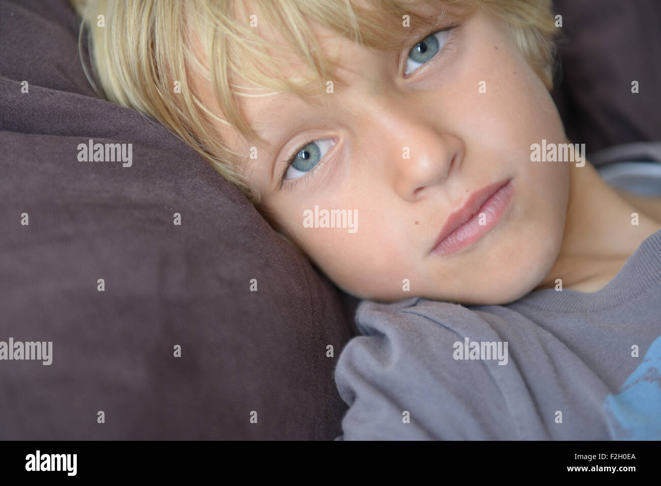 young boy looking into camera Stock Photo - Alamy