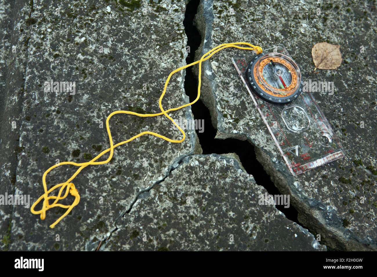 Compass rose shows hi-res stock photography and images - Alamy