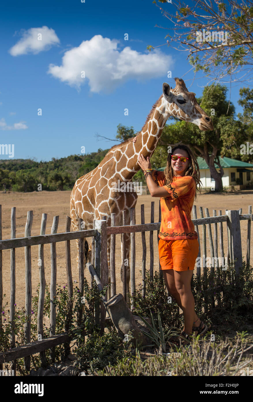 Girl Feeding Giraffe at Zoo Stock Photo - Alamy