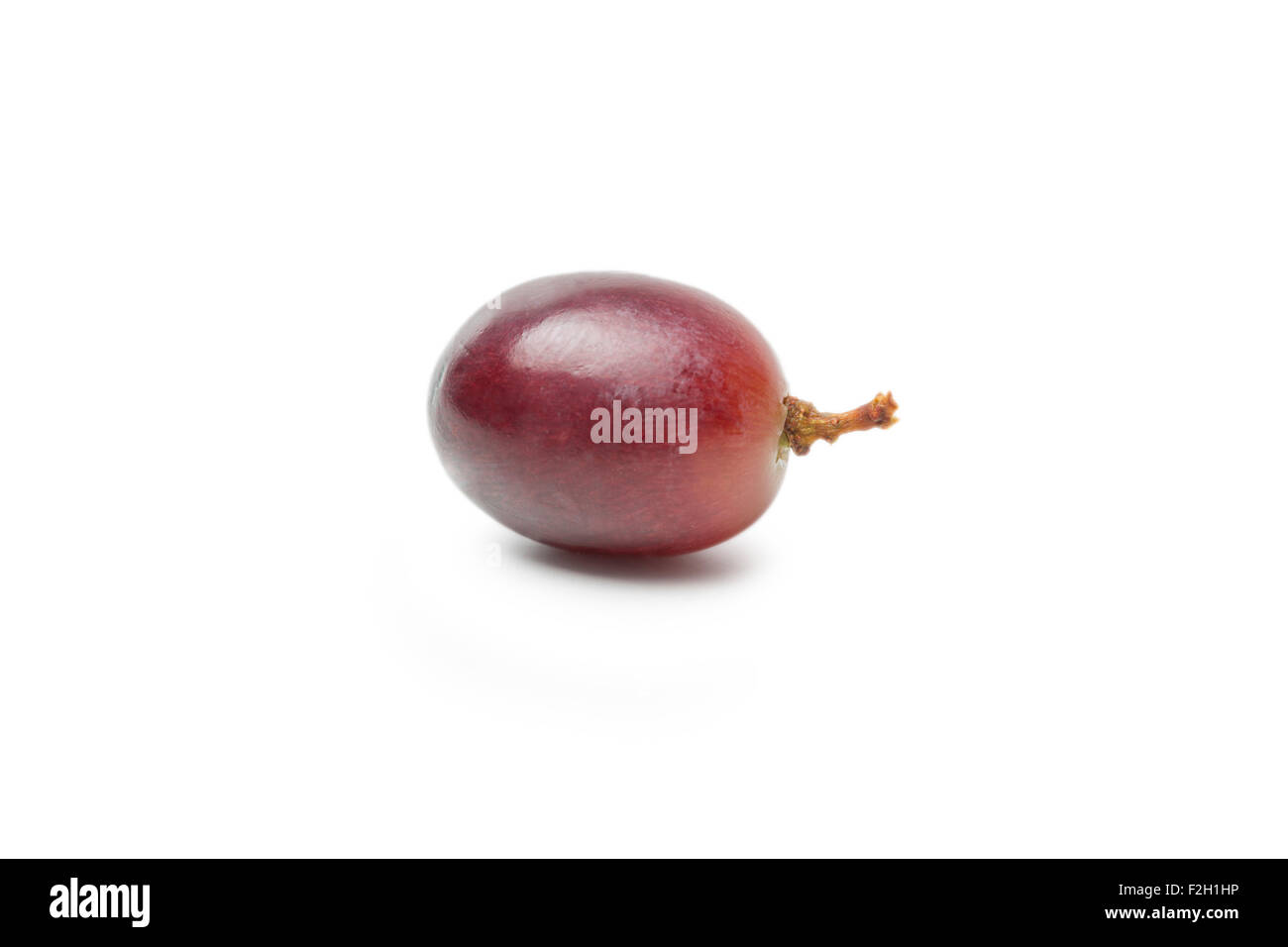 Detail of a single grape isolated on white background Stock Photo - Alamy