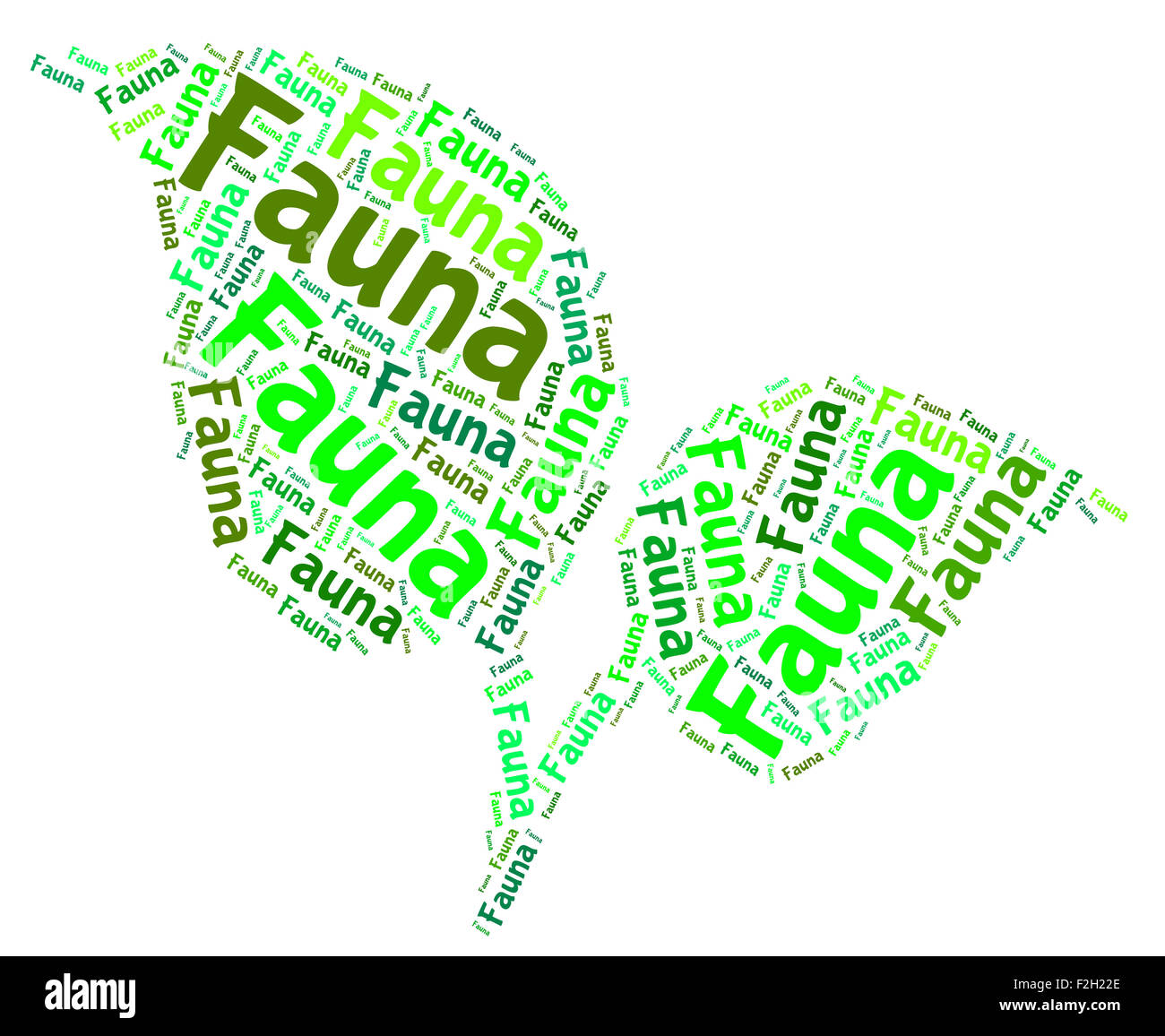 Fauna Word Indicating Animal Life And Creature Stock Photo - Alamy