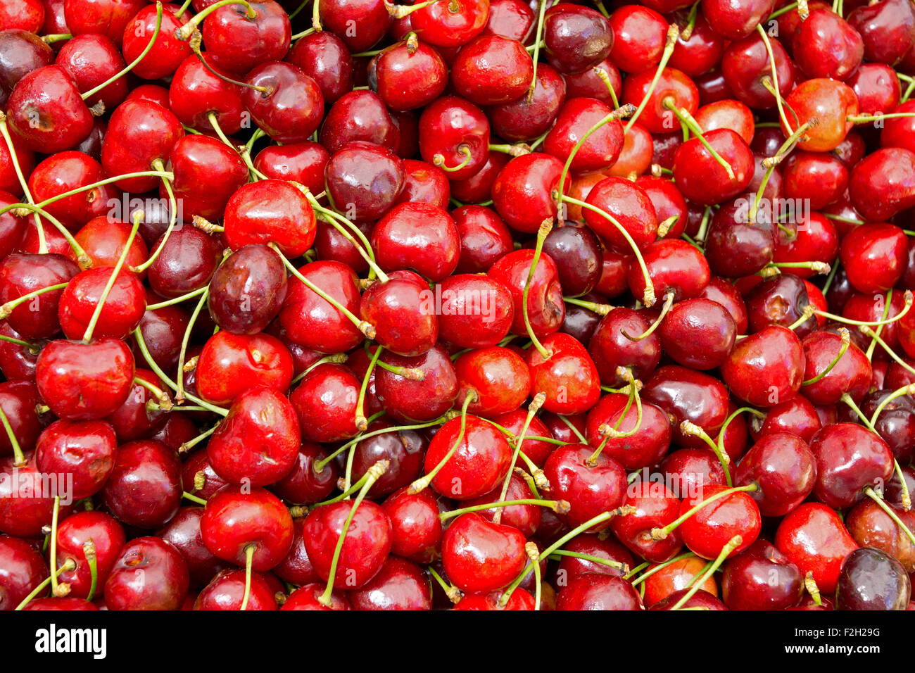 Red ripe cherries seen on a market Stock Photo - Alamy