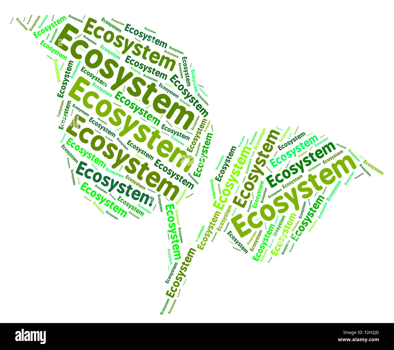 Ecosystem Word Representing Earth Day And Biosphere Stock Photo - Alamy