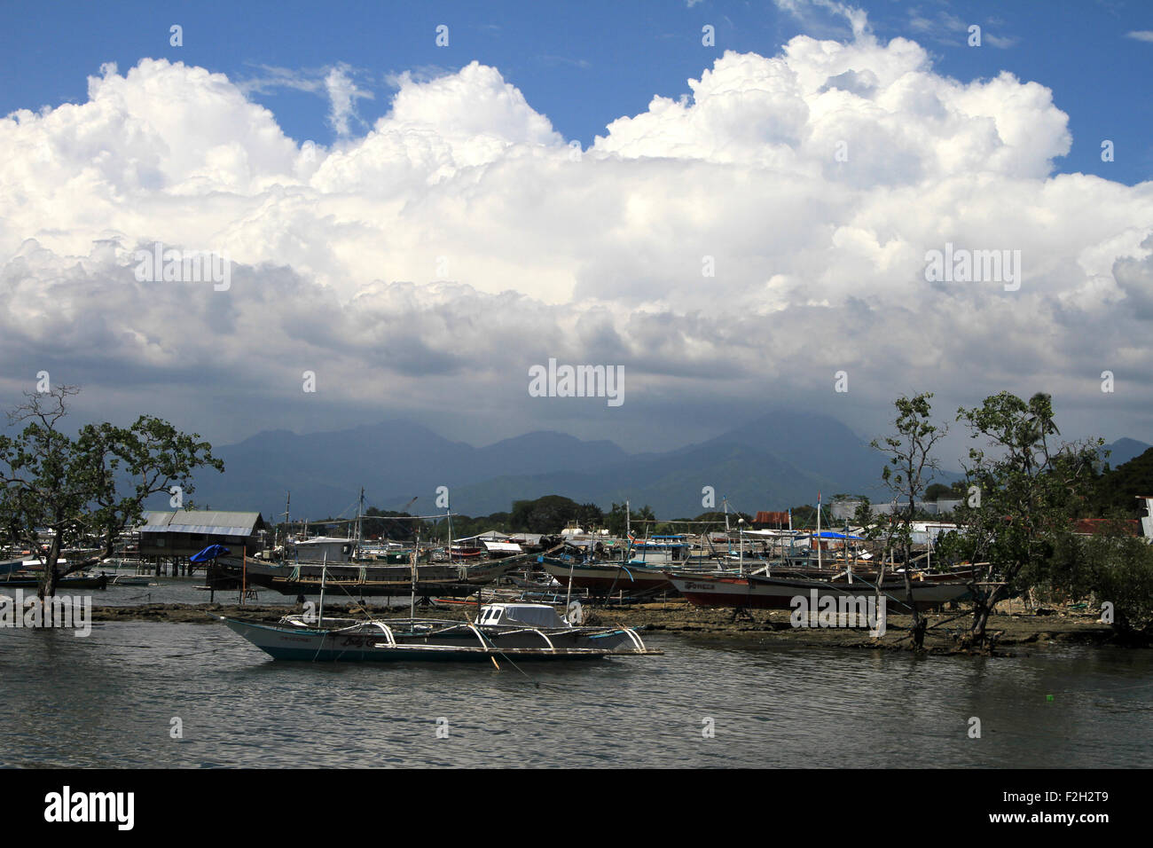 Philippines palawan puerto princesa hi-res stock photography and images ...