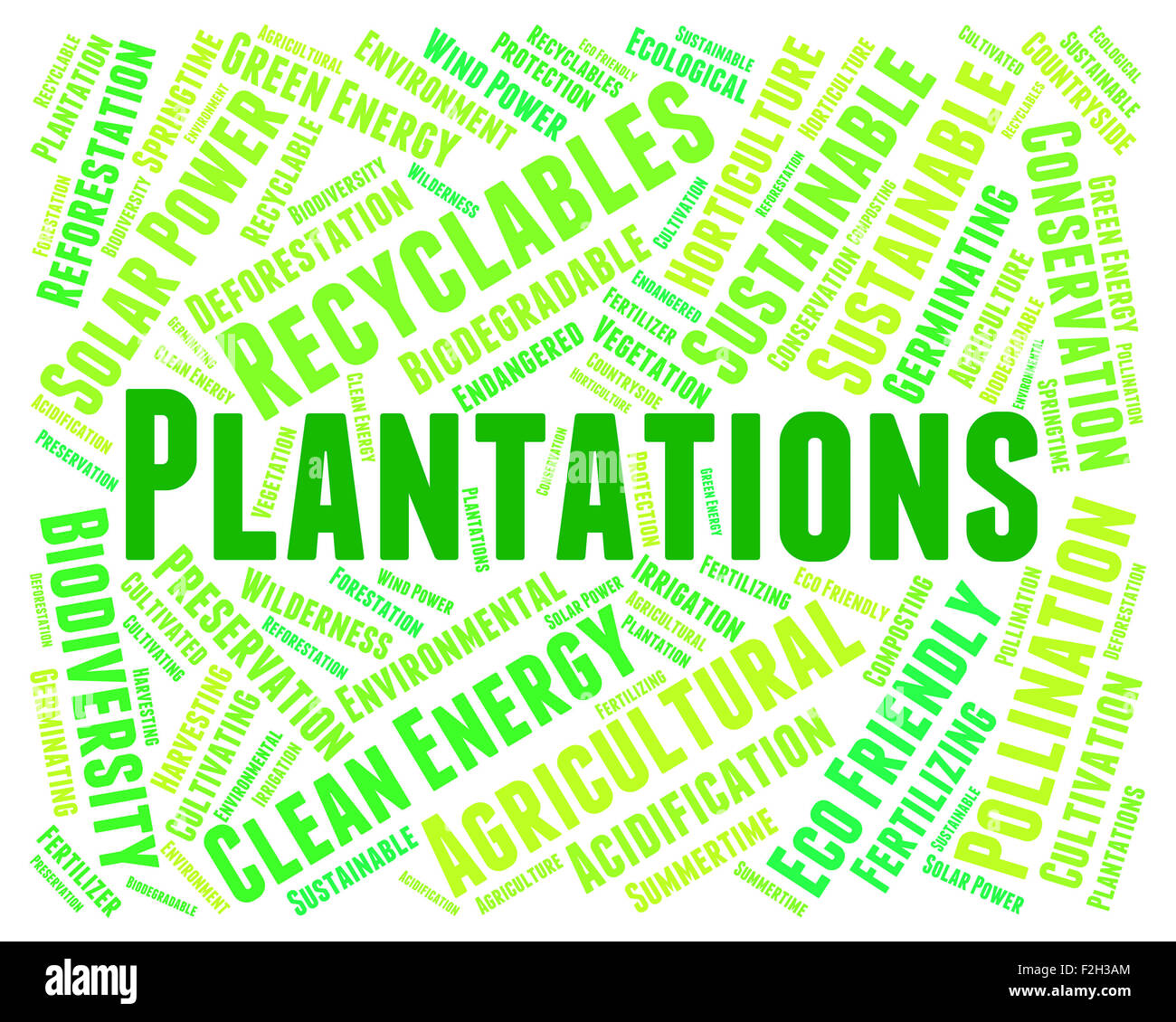 Plantations Word Representing Estate Text And Words Stock Photo - Alamy