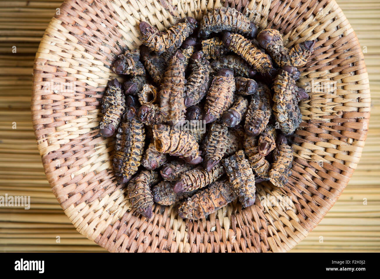 Mopane worms hi-res stock photography and images - Alamy