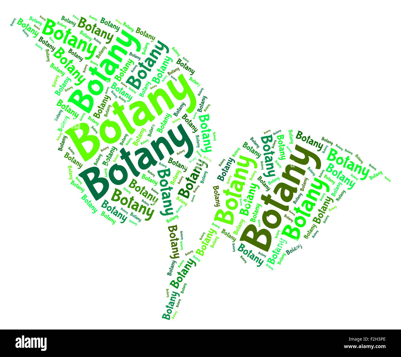 Educated Cut Out Stock Images & Pictures - Alamy