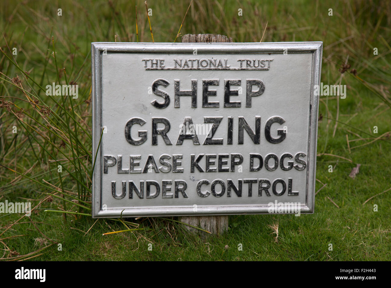 Sign telling walkers to keep their dogs under control due to sheep ...