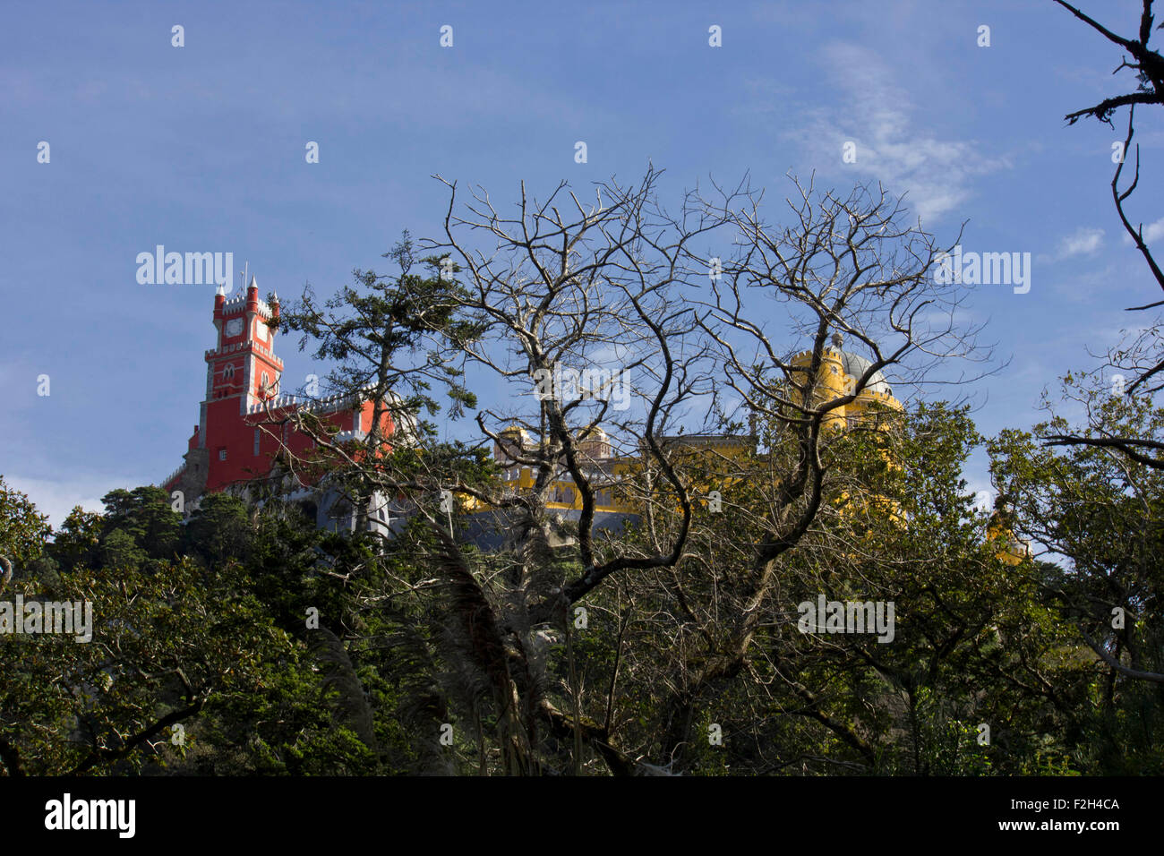 Overview of Pena National Palace in Sintra, Portugal, with trees in the ...