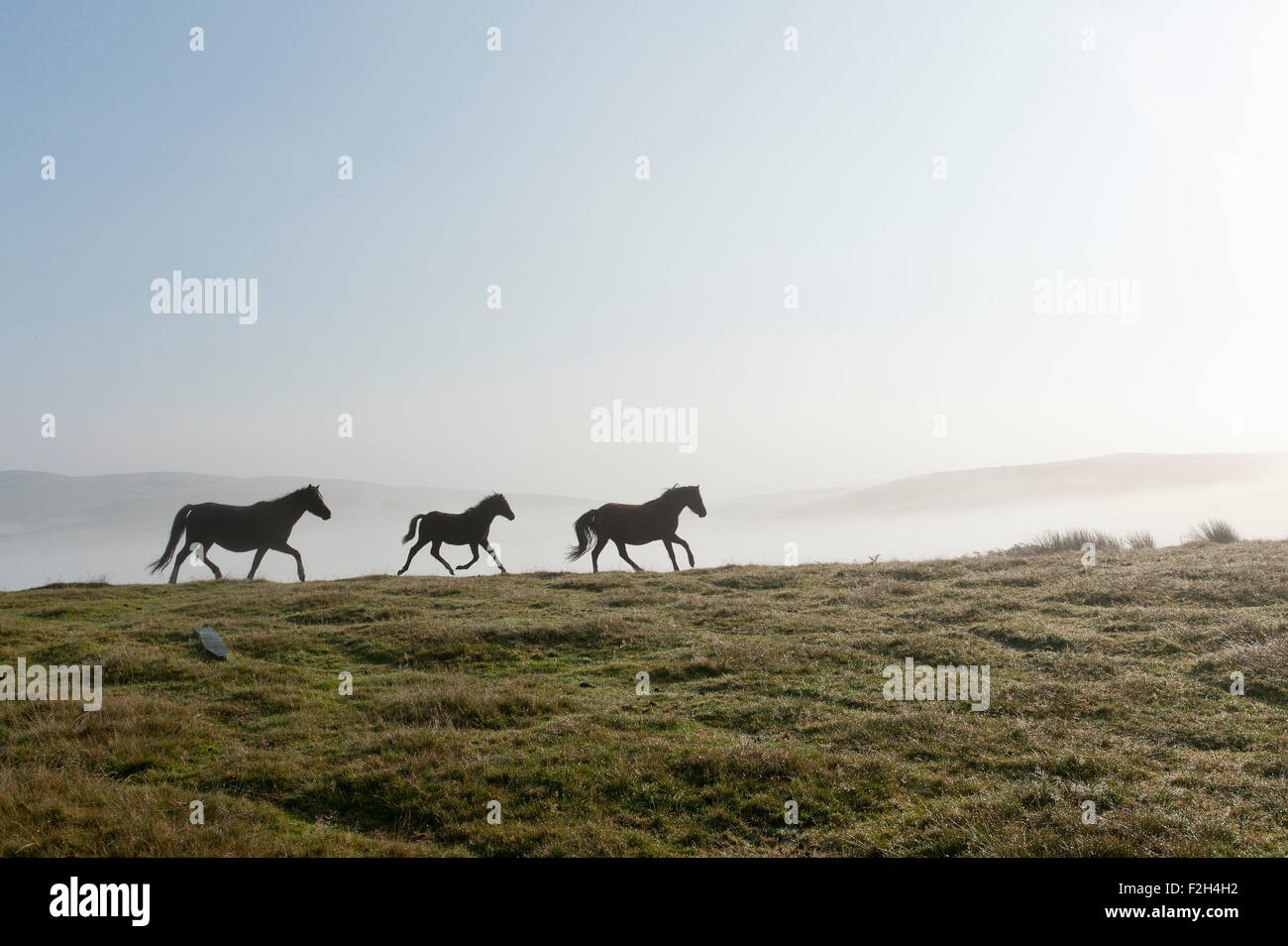 400 m above sea level hi-res stock photography and images - Alamy