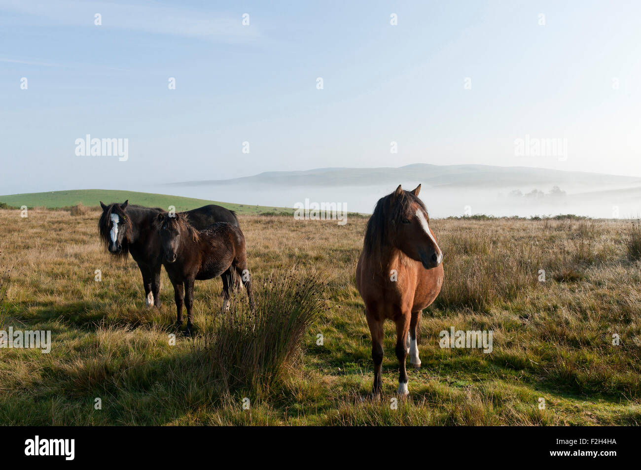 400 m above sea level hi-res stock photography and images - Alamy