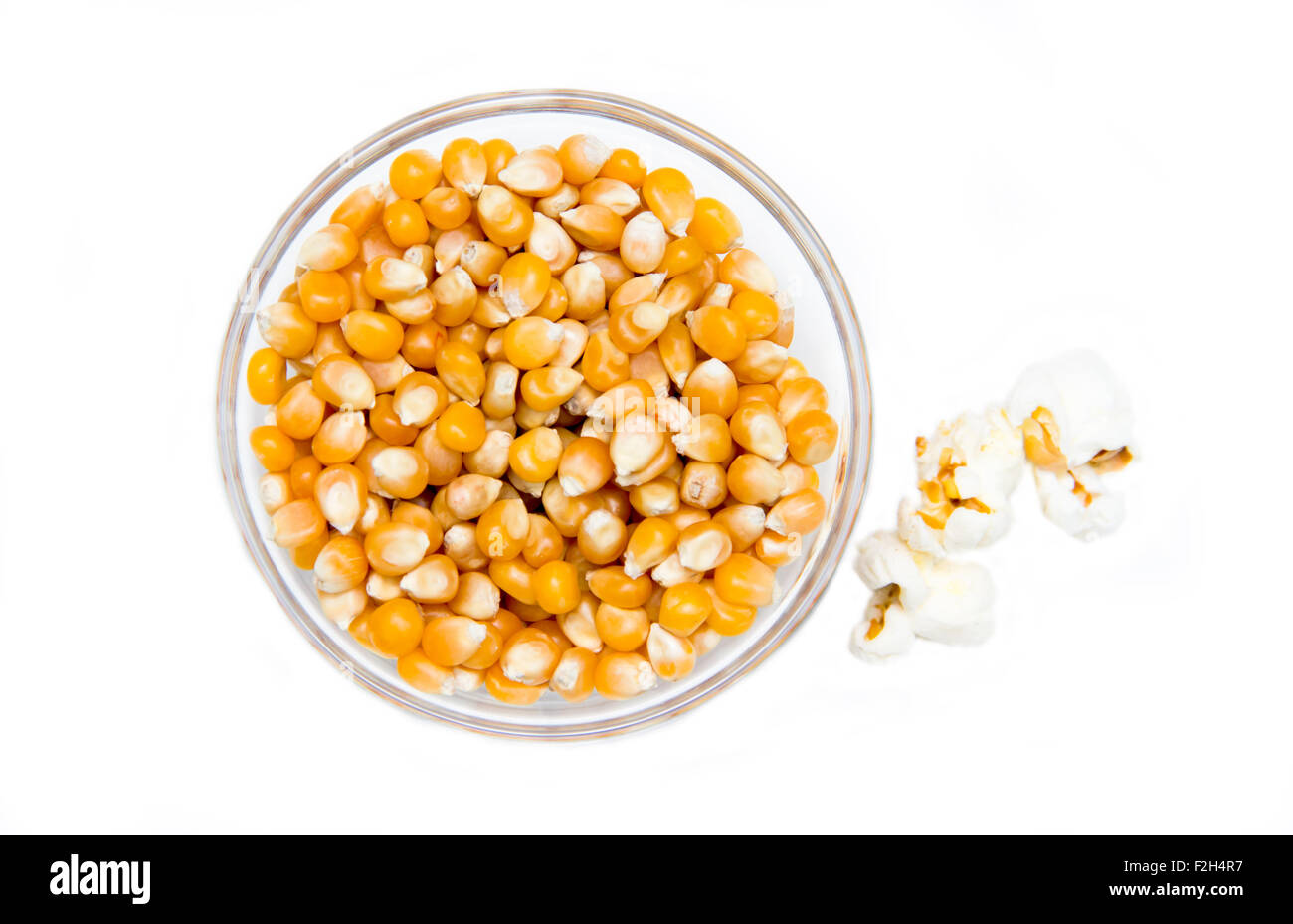 Maize grain dried with popcorn beside on a white background seen from ...