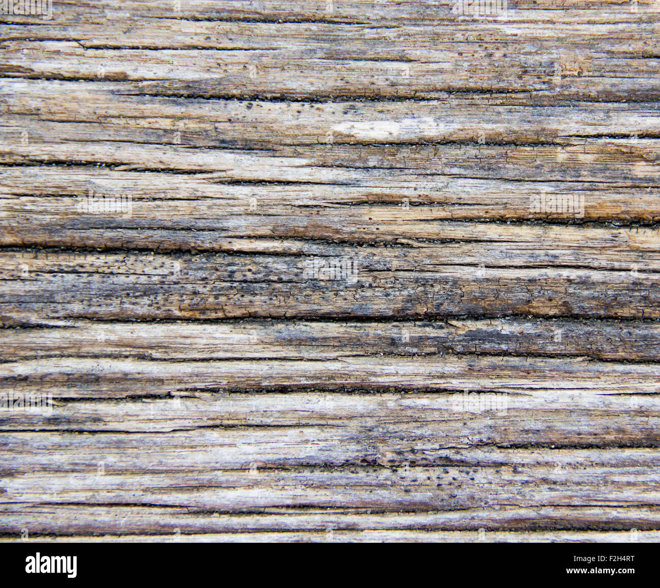 Old wood and rotten seen close frontally Stock Photo - Alamy