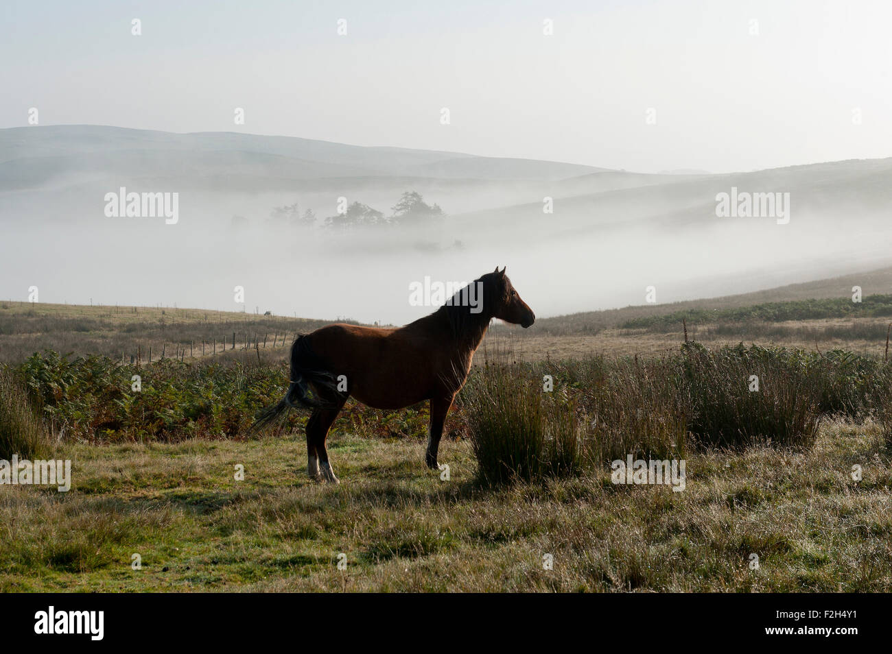 400 m above sea level hi-res stock photography and images - Alamy
