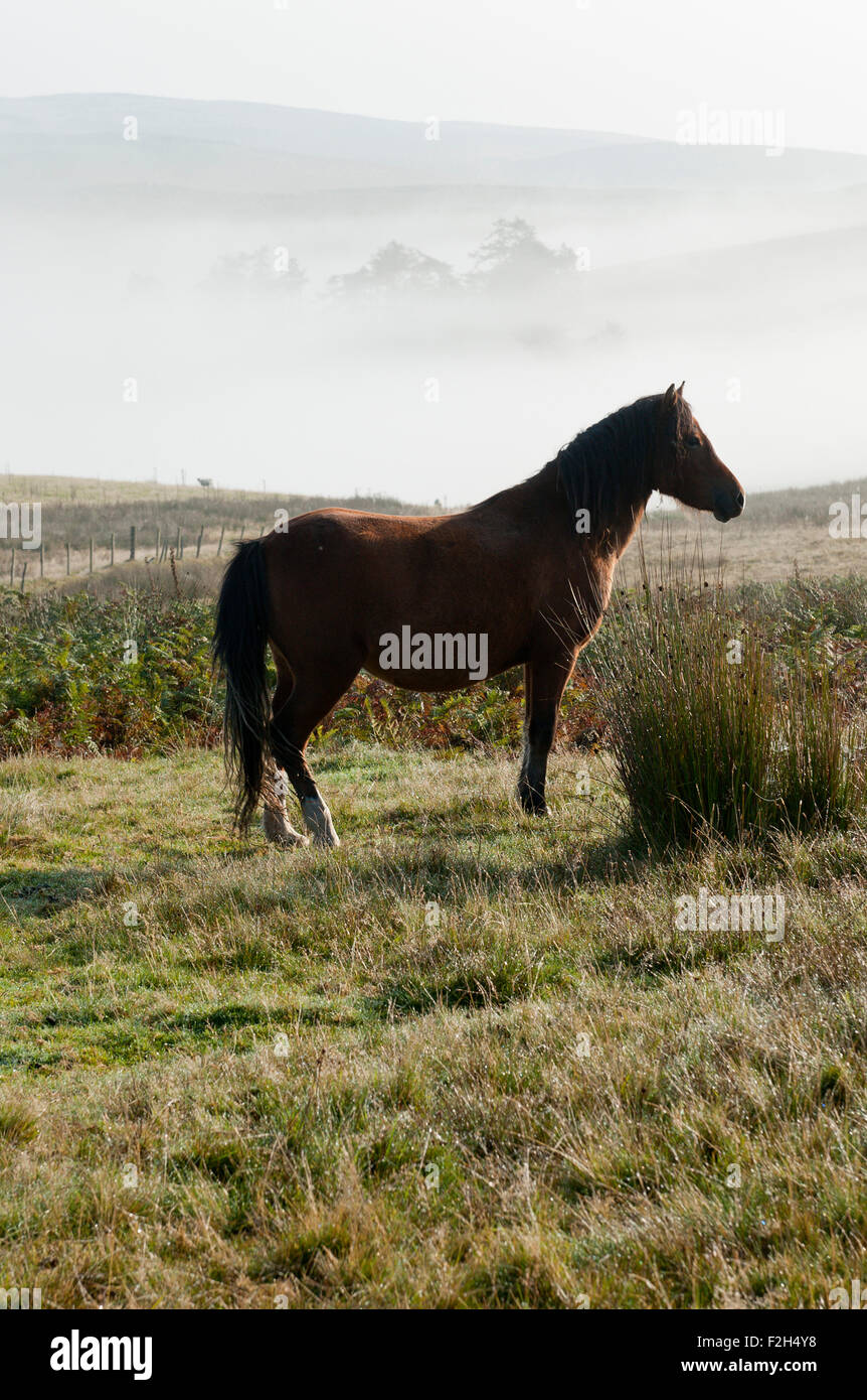 400 M Above Sea Level Stock Photos & 400 M Above Sea Level Stock Images ...