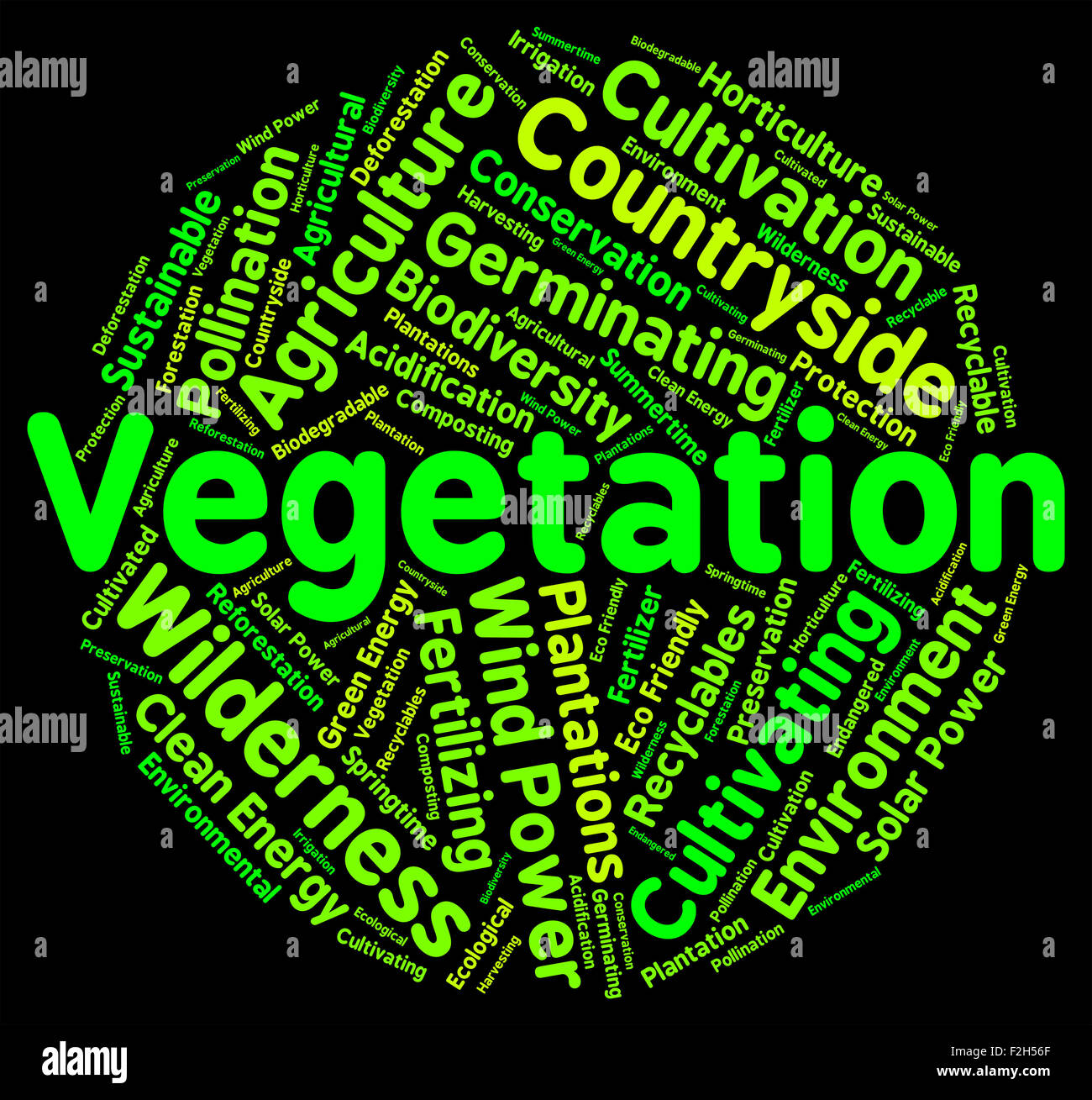 Vegetation Word Meaning Plant Life And Botany Stock Photo - Alamy