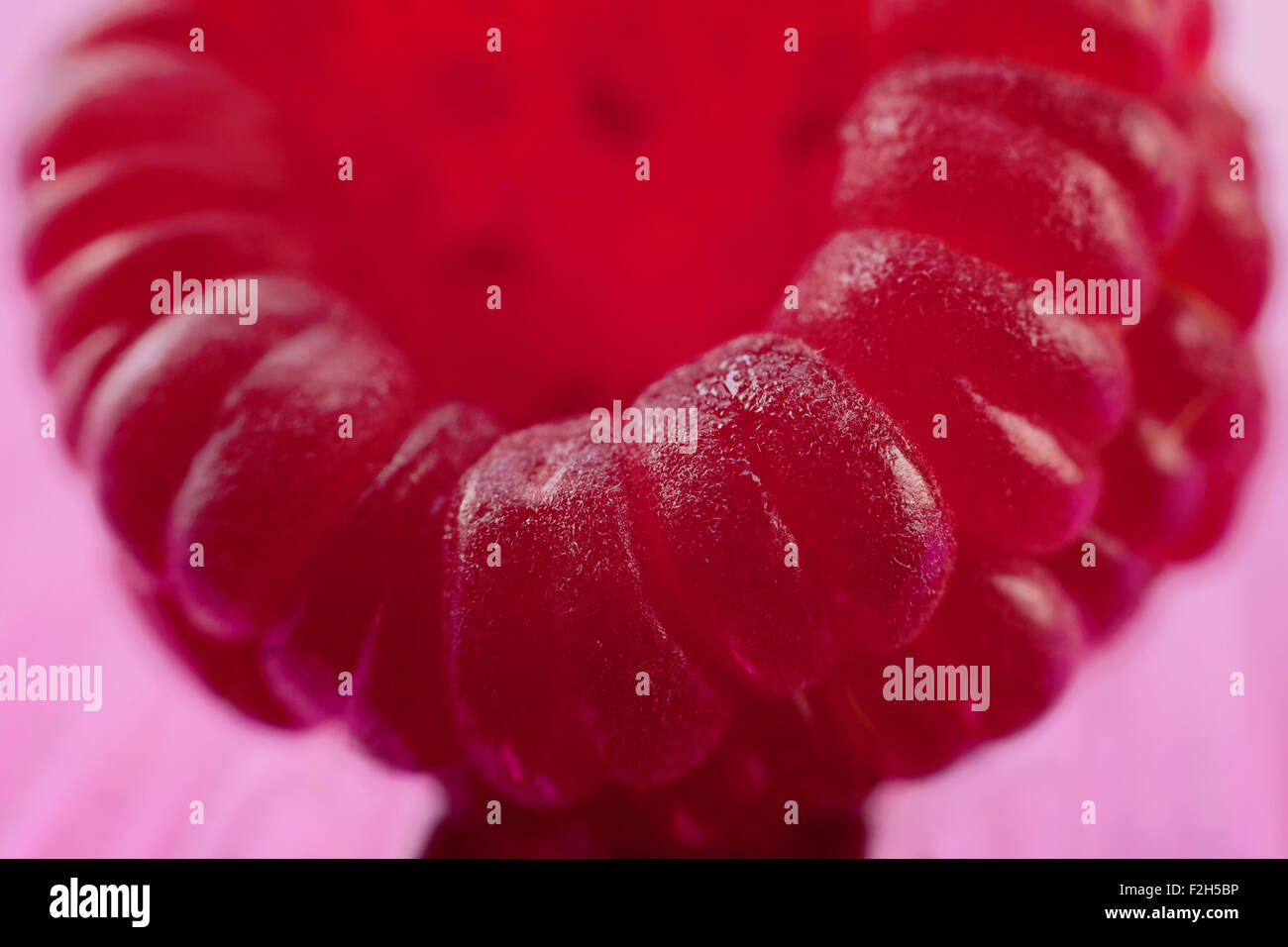Fruit part hi-res stock photography and images - Alamy
