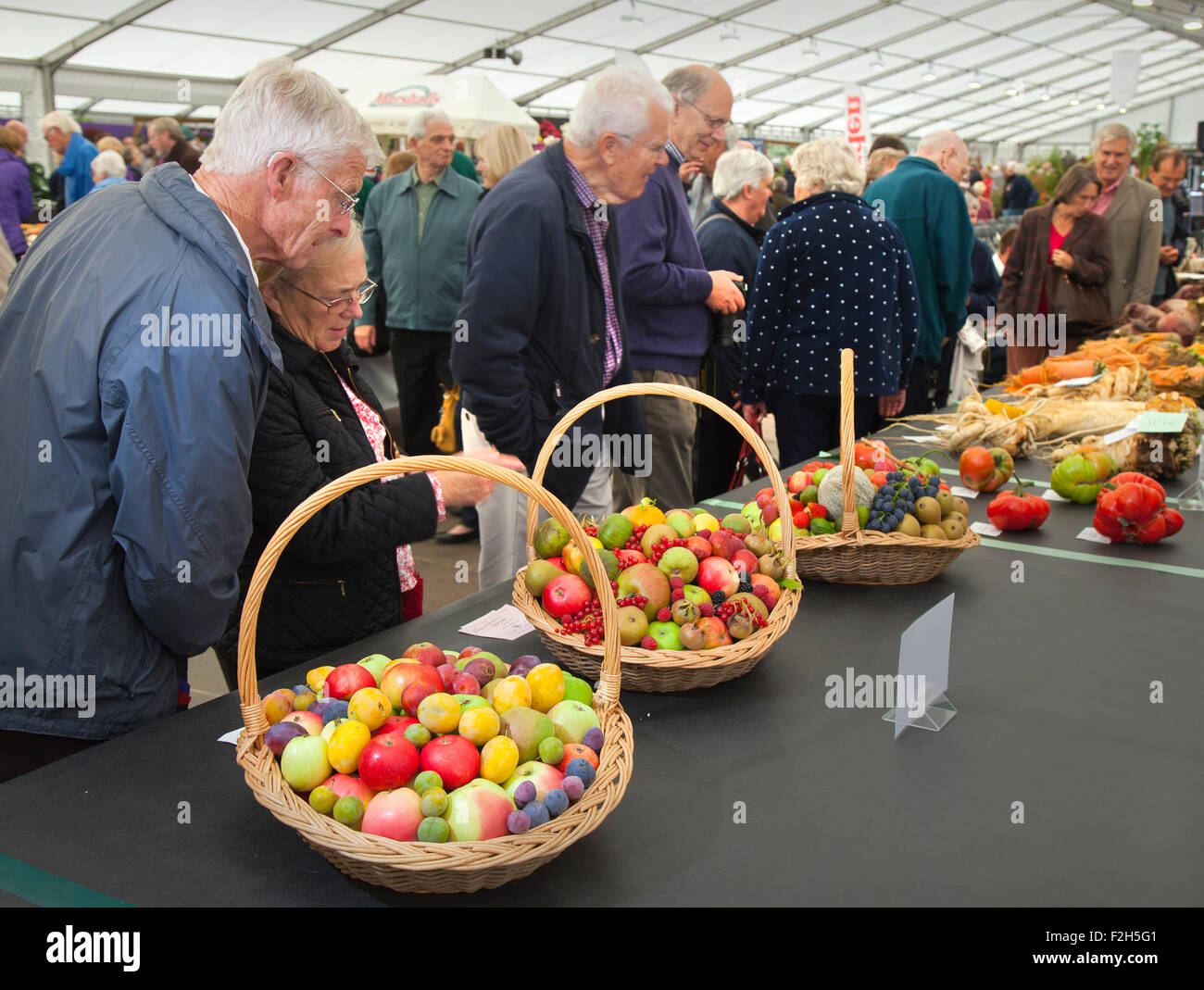 Judging fruit vegetables hi-res stock photography and images - Alamy