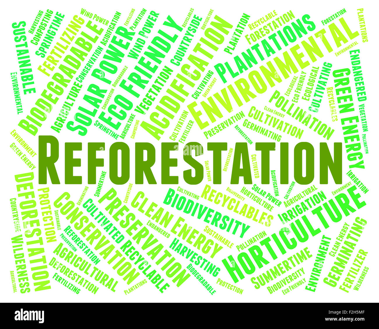 Reforestation Word Representing Woodland Woodlands And Jungle Stock ...