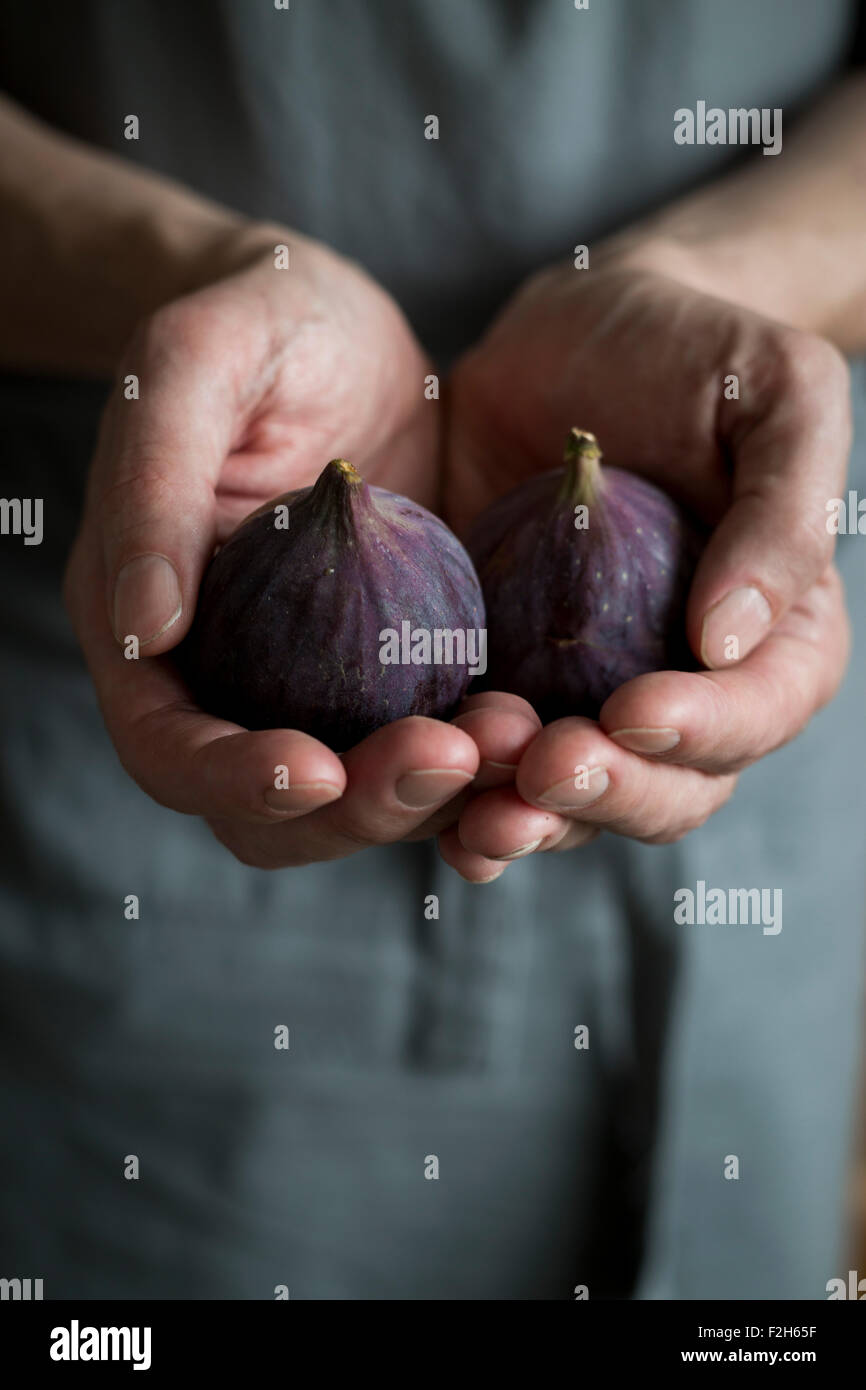 Hands holding figs hi-res stock photography and images - Alamy