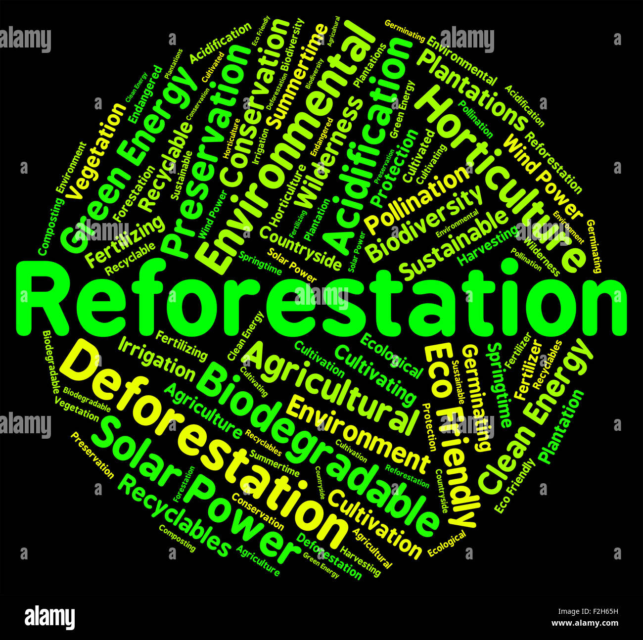 Reforestation Word Indicating Forested Forests And Woodlands Stock ...
