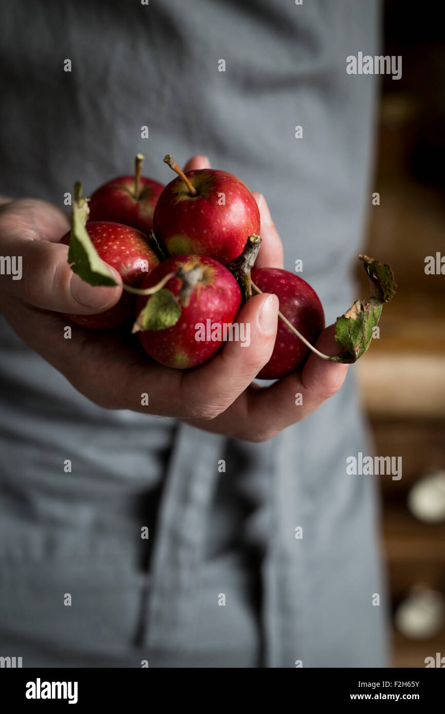 Close-up of man's hand holding apples Stock Photo - Alamy