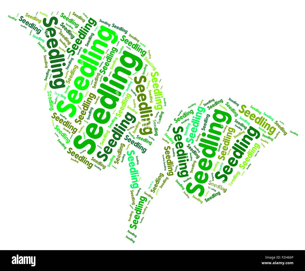 Seedling Word Indicating Young Plant And Text Stock Photo - Alamy