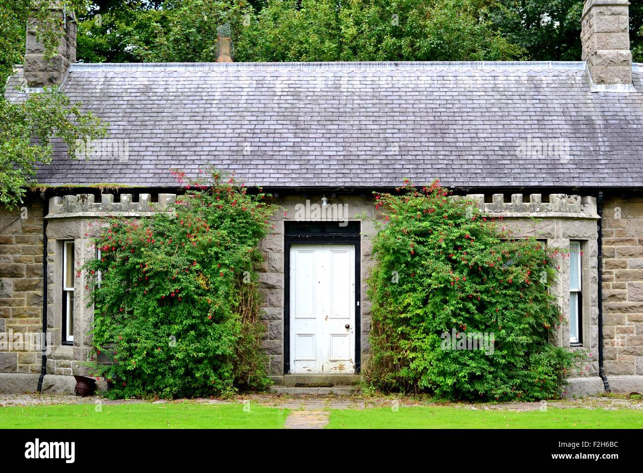 Old overgrown granite cottage Stock Photo - Alamy